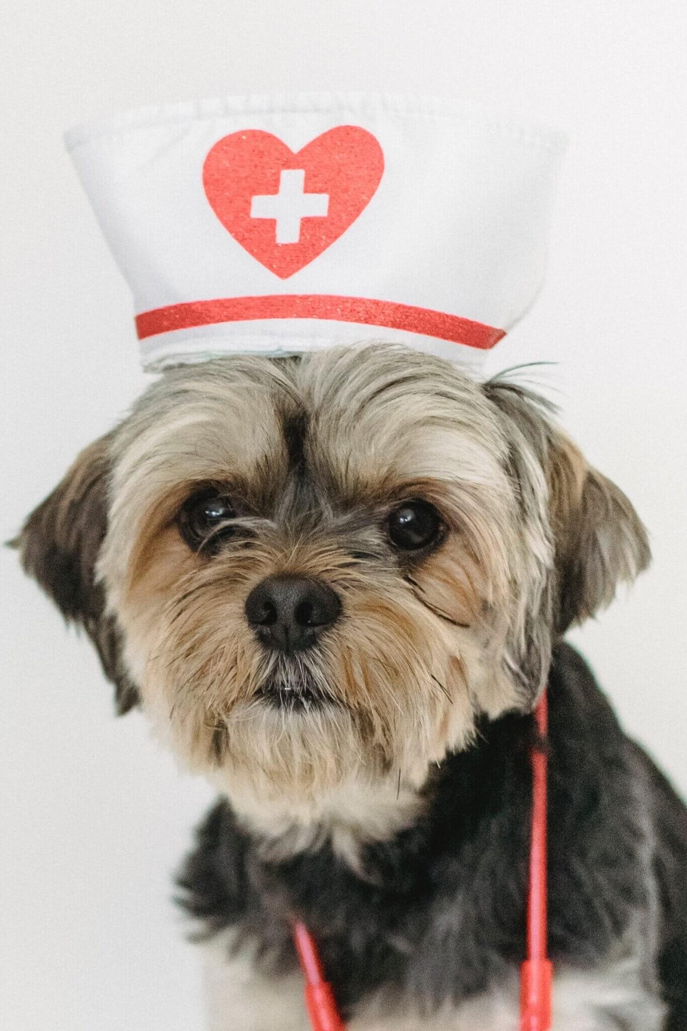 Ear, Nose & Throat Examination Notes for Medical Students